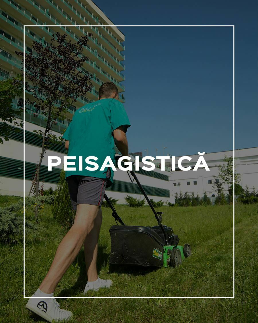 Peisagistică - amenajare și întreținere spații verzi – Eco Garden ...